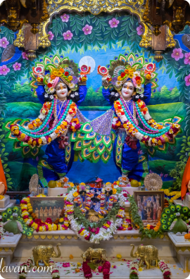 ISKCON Vrindavan | Experience Devotion in Krishna’s Land