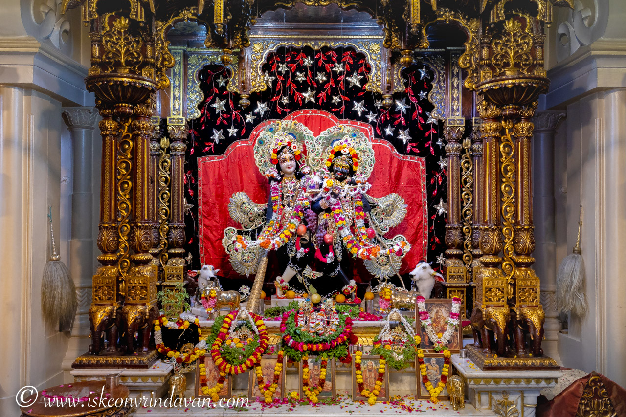 Live Darshan | ISKCON Vrindavan – Connect with Krishna Anytime